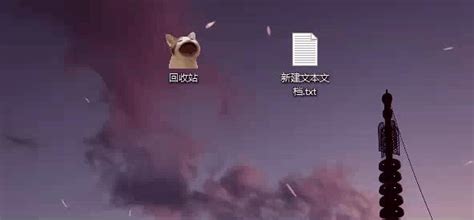 Popo