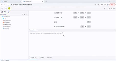 运行 lightly官方文档