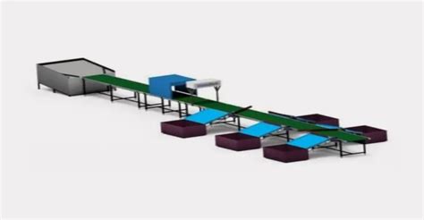 Linear Arm Sorter Nexgen Engineering And Conveyors Pvt