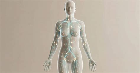 How And When To Use A Lymphatic Drainage Machine Purehealth Research
