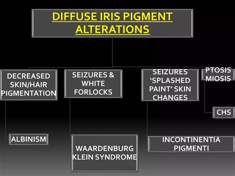 Anatomy Of Iris And Its Congenital Anomalies Pptx