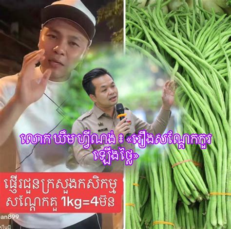 អ្នកនាំពាក្យក្រសួងកសិកម្ម ៖ «រឿងសណ្តែកកួរឡើងថ្លៃ សារព័ត៌មាន នគរវត្ត