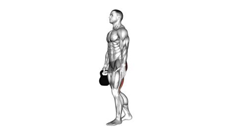 Exercise Ball Diagonal Kick Hamstring Curl Video Guide And Tips