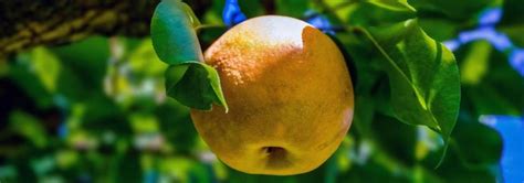 무료 사진 {{제목}}