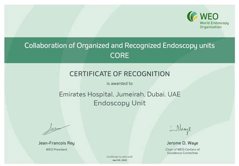 Endoscopy Certification Rn At Scarlett Packham Blog