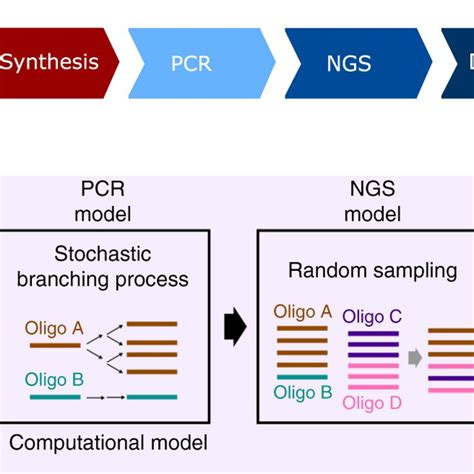 A Dna Storage System Model A Workflow Of Dna Data Storage Digital Download Scientific Diagram