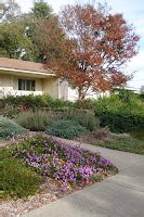 Garden Bliss Sustainable Landscaping In Sacramento
