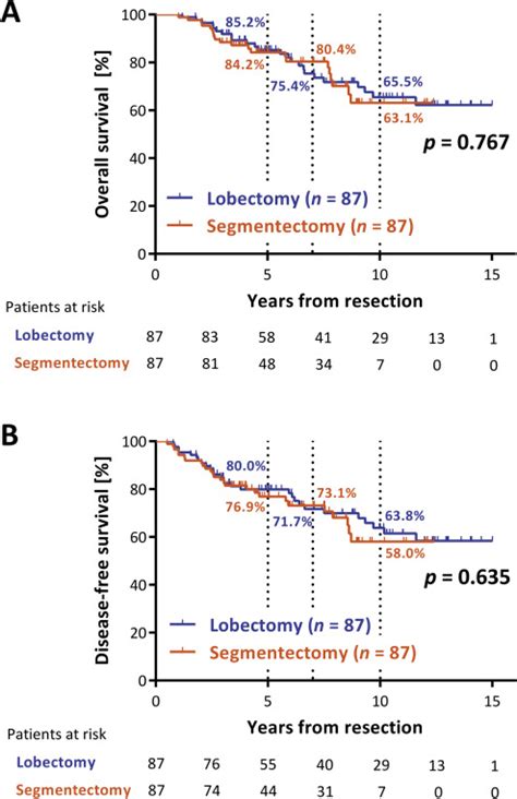 Lobectomy Versus Segmentectomy In Radiologically Pure Solid Small Sized Non Small Cell Lung