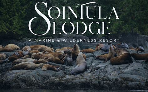 Sointula Lodge A Marine And Wilderness Resort Prices And Reviews