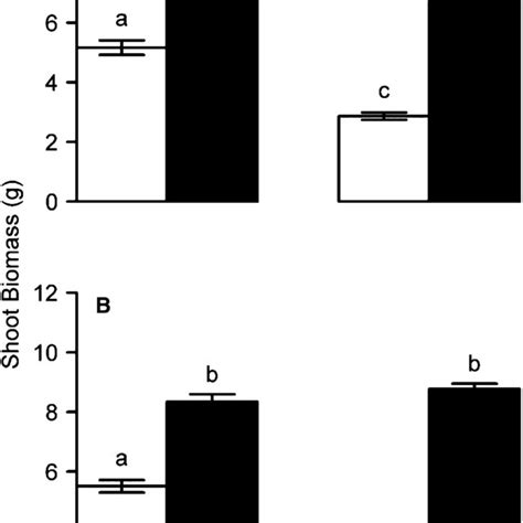 Grain Yield For Genotypes With Large And Small Cortical Cells In The Download Scientific