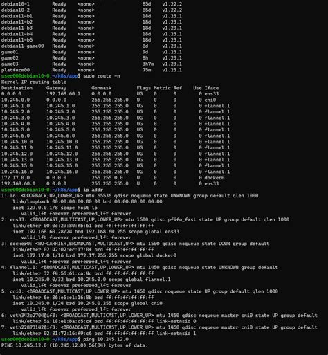 Kubernetes Flannel Network Is Not Working Stack Overflow