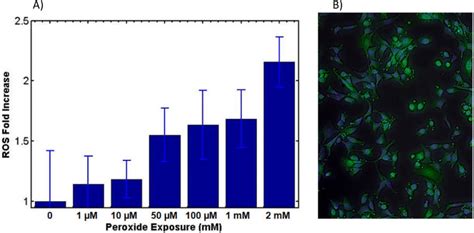 Hydrogen Peroxide Exposure Comparison Download Scientific Diagram