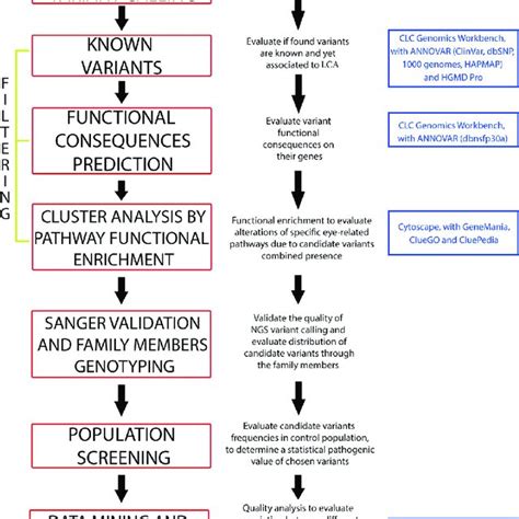 Graphical Workflow Of Data Analyses Data Analyses Involved Several