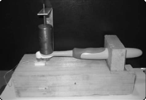 Tooth Brushing Device Used Download Scientific Diagram