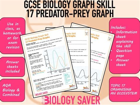 Gcse Biology Graph Skill 17 Predator Prey Graph Teaching Resources