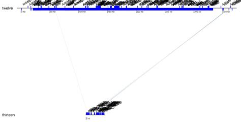 How To Create Plot Using GenoPlotR In R For Genomic Data Bioinformatics Stack Overflow