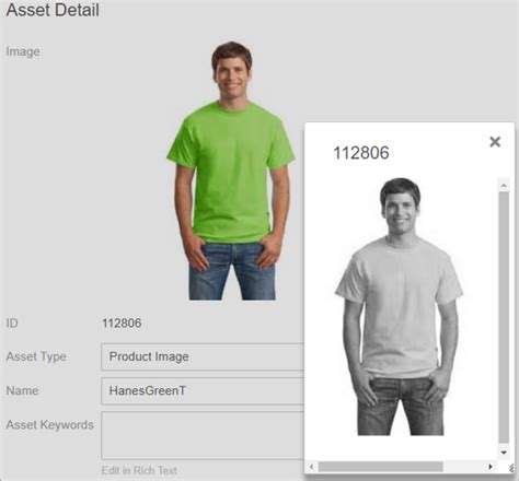 Referenced Asset Representation