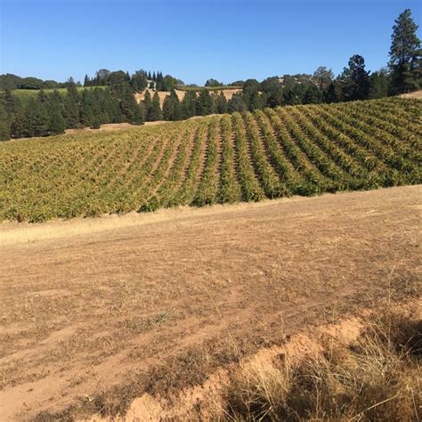 Driven Cellars 4 Tips