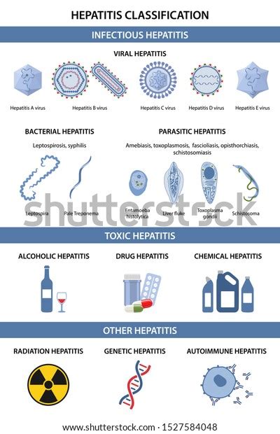Hepatitis Classification Types Viral Hepatitis Bacterial Stock Vector