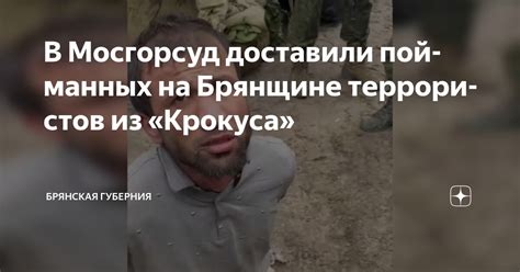 В Мосгорсуд доставили пойманных на Брянщине террористов из «Крокуса Брянская губерния Дзен