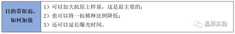 【5分钟讲透实验】影响wb实验结果的因素综述 知乎