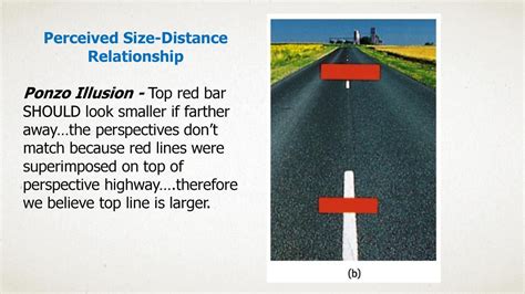 Chapter 6 Perception Pages Ppt Download