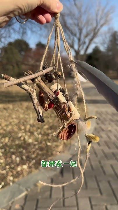 路边手工襁捡羽毛做逗猫棒 路边就能完成的简单手工，树林里捡小鸟羽毛，做个魔法风格的逗猫棒魔法 手工 逗猫棒 捡羽毛 流浪猫 Youtube