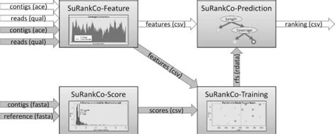 Modularization And Workflow Of Surankco The Four Modules Of Surankco Download Scientific