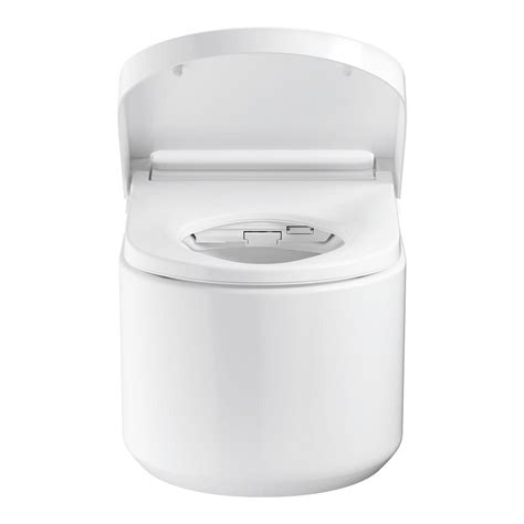 Grohe Sensia Pro Douche Wc Grohe