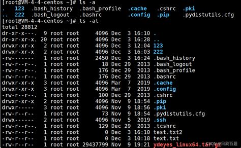 Linux——基本指令（一）