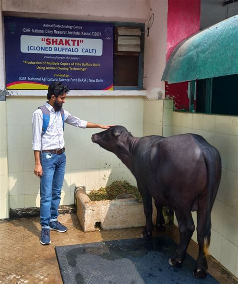 faiz akram posted on linkedin