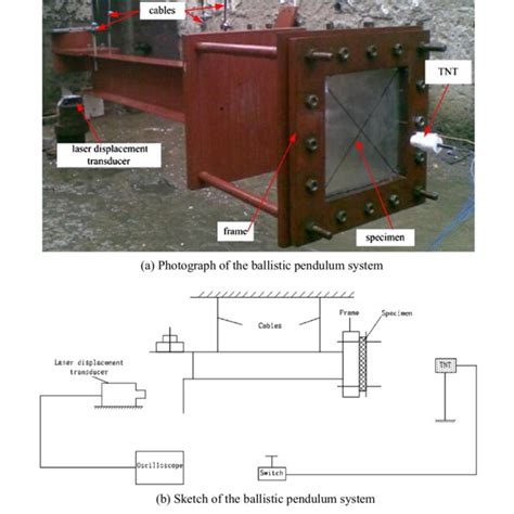 Fe Model Of The Specimens For Interpretation Of The References To Download Scientific Diagram