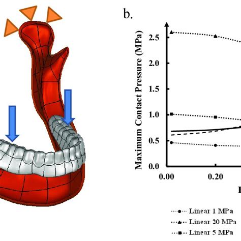 A The Schematic Diagram Of The Finite Element Model In The Friction
