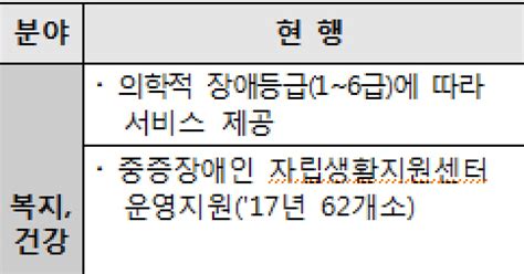장애인등급제 내년 7월 폐지맞춤형 의료·복지 전환