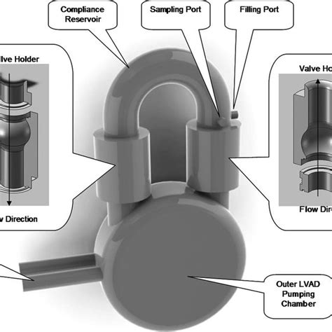 Schematic Of Lvad Flow Loop System Showing The Compliance Reservoir
