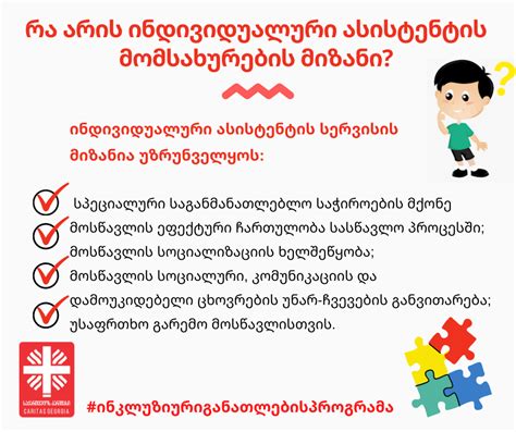 🤔 რა არის ინდივიდუალური ასისტენტის მომსახურების მიზანი 👉🏻 ინდივიდუალური ასისტენტის სერვისის