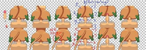 Mod Sxb Pov Redux Page 2 Starbound Loverslab