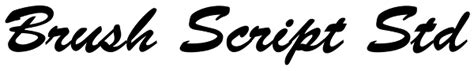 Brush Script Std Font Font Spy