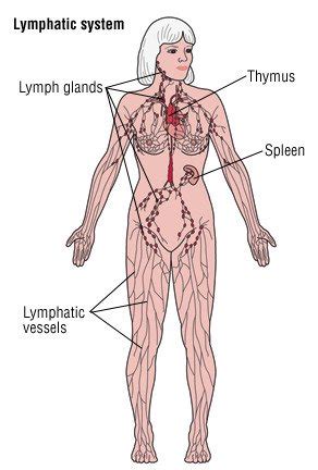 Lymphedema Guide Causes Symptoms And Treatment Options
