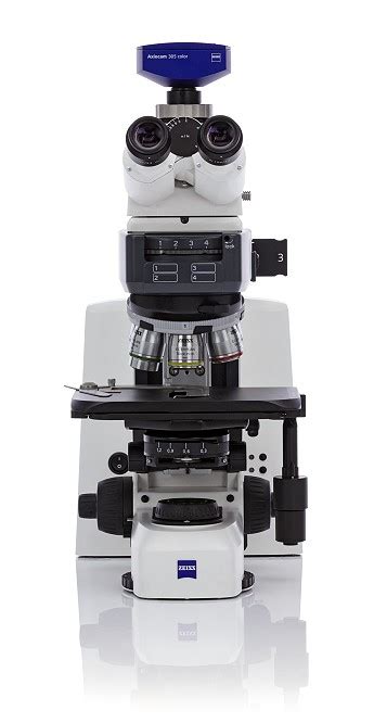 Zeiss The Upright Microscope Axioscope 5 For