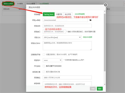 如何使用宝塔运行java项目的springboot应用 方滴云web