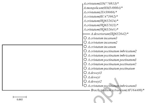 Phylogenetic Tree Constructed Based On Cpdna Matk Sequence With The Ml