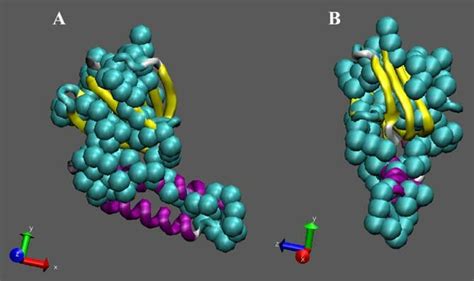 Superposition Of The Gasbor Model With The Subunit From The F 1 F O Download Scientific