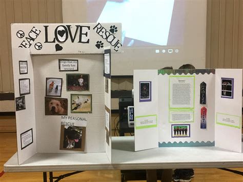 Creative Tri Fold Poster Ideas