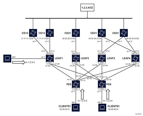 Combined Ecmp For Bgp Pe Ce And Evpn Ifl Ip Vpn