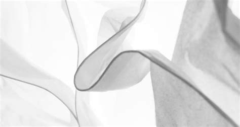 Identifying And Treating Dialectical Dilemmas In Dbt Part 2 Behavorial Tech Institute