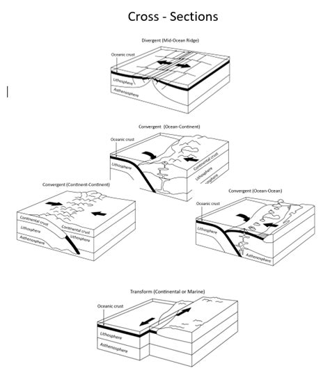 Solved Match Each Focus Area To The Cross Section That Shows
