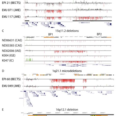 Deletions And Duplications At Genomic Rearrangement Hotspots In 20 Download Scientific Diagram