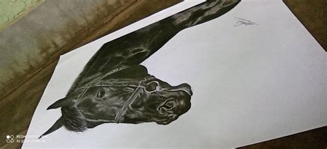 घोड़े का ड्राइंग