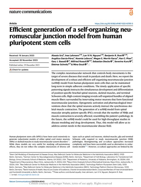 pdf efficient generation of a self organizing neuromuscular junction model from human